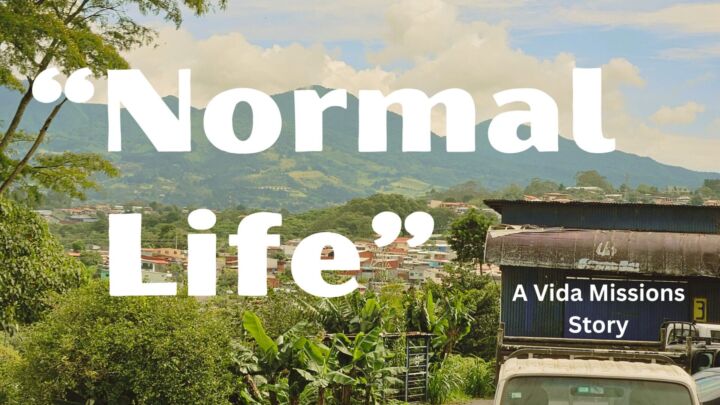 “Normal Life” – VIDANET