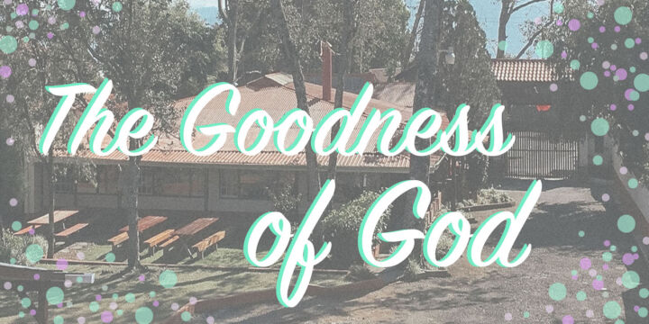 The Goodness of God – VIDANET