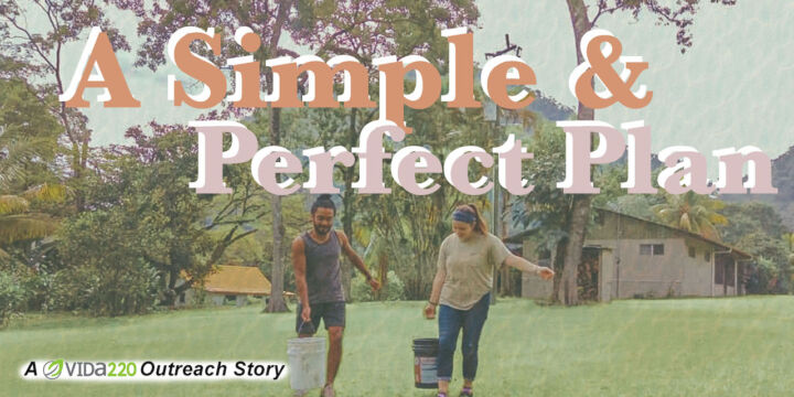 A Simple & Perfect Plan - VIDANET